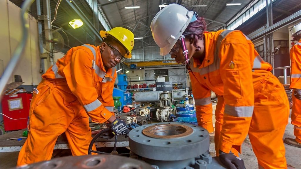 Environmental Health and Safety (EHS) Auditing (2 Days Workshop) – SmartBrains – Piping ...